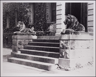 lions – University Archives